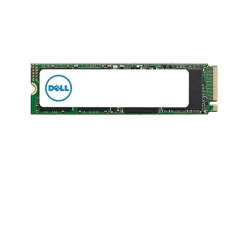 Dell 256gb Ssd M.2 Pcie Nvme Class 40 2280 (LSNP112P/256G) | BlueDogInk.com