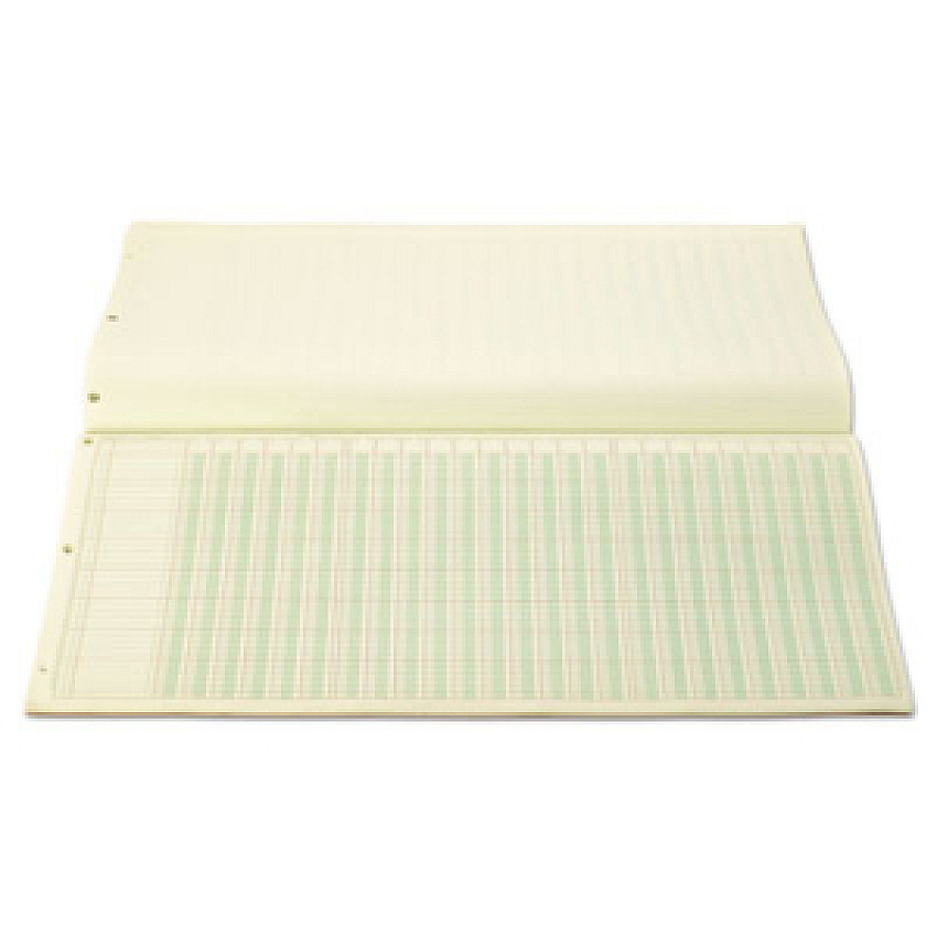 Wilson Jones Accounting Pad, (25) 6-Unit Columns, 11 x 24.25, Light ...