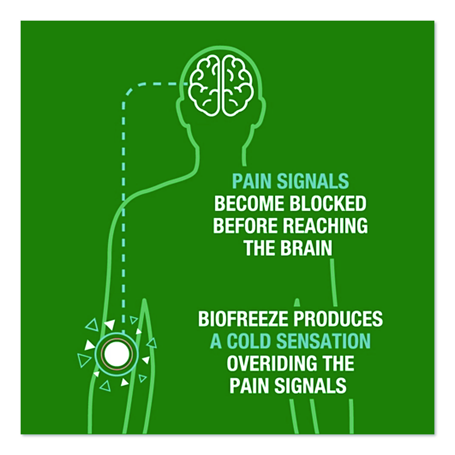 BIOFREEZE Professional Green Topical Analgesic Pain Reliever Gel, 32 oz ...